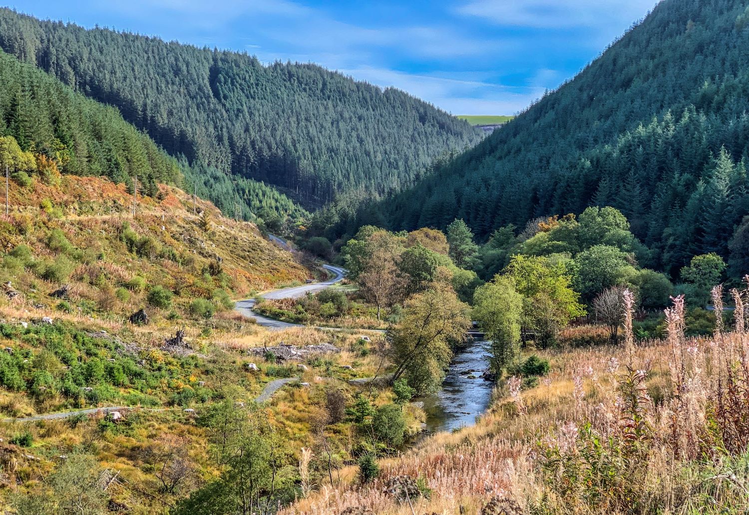 Things To Do In Mid Wales | Red Kite Touring Park